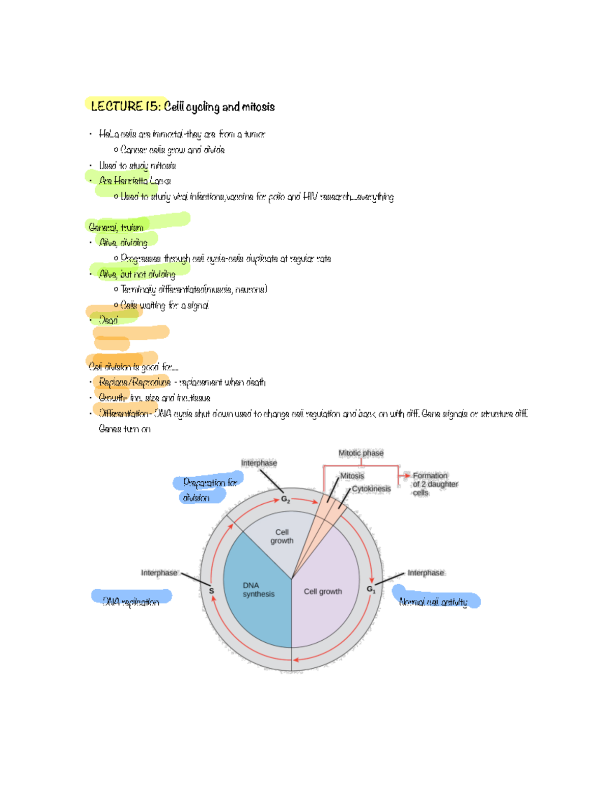 Exam 3 study guide - Warning: Error during font loading: XMLHttpRequest is not defined LECTURE ...