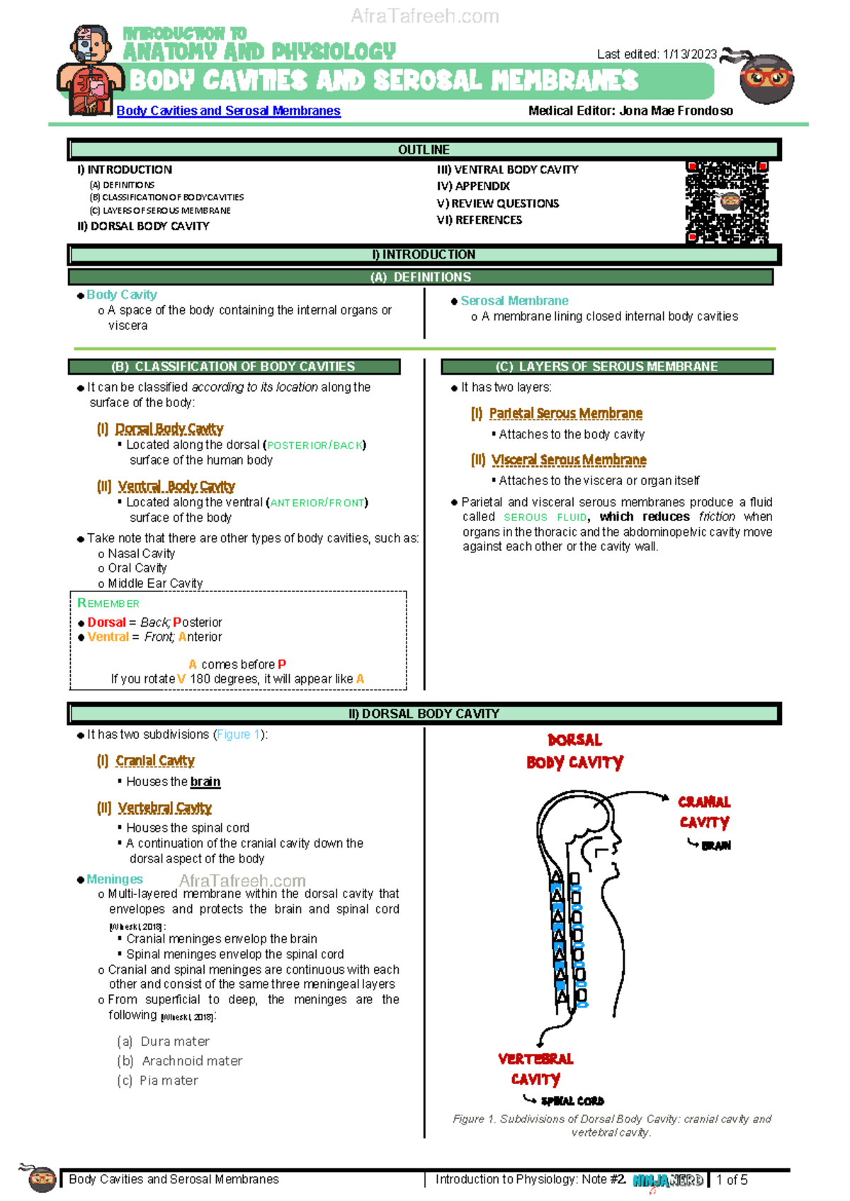 Body Cavities & Serosal Membranes (2) atf - Body Cavities and Serosal ...