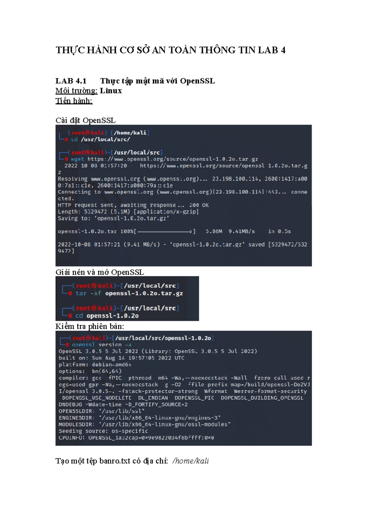 THỰC HÀNH CƠ SỞ AN TOÀN Thông TIN LAB 4 - THỰC HÀNH CƠ SỞ AN TOÀN THÔNG TIN LAB 4 LAB 4 Thực tập ...