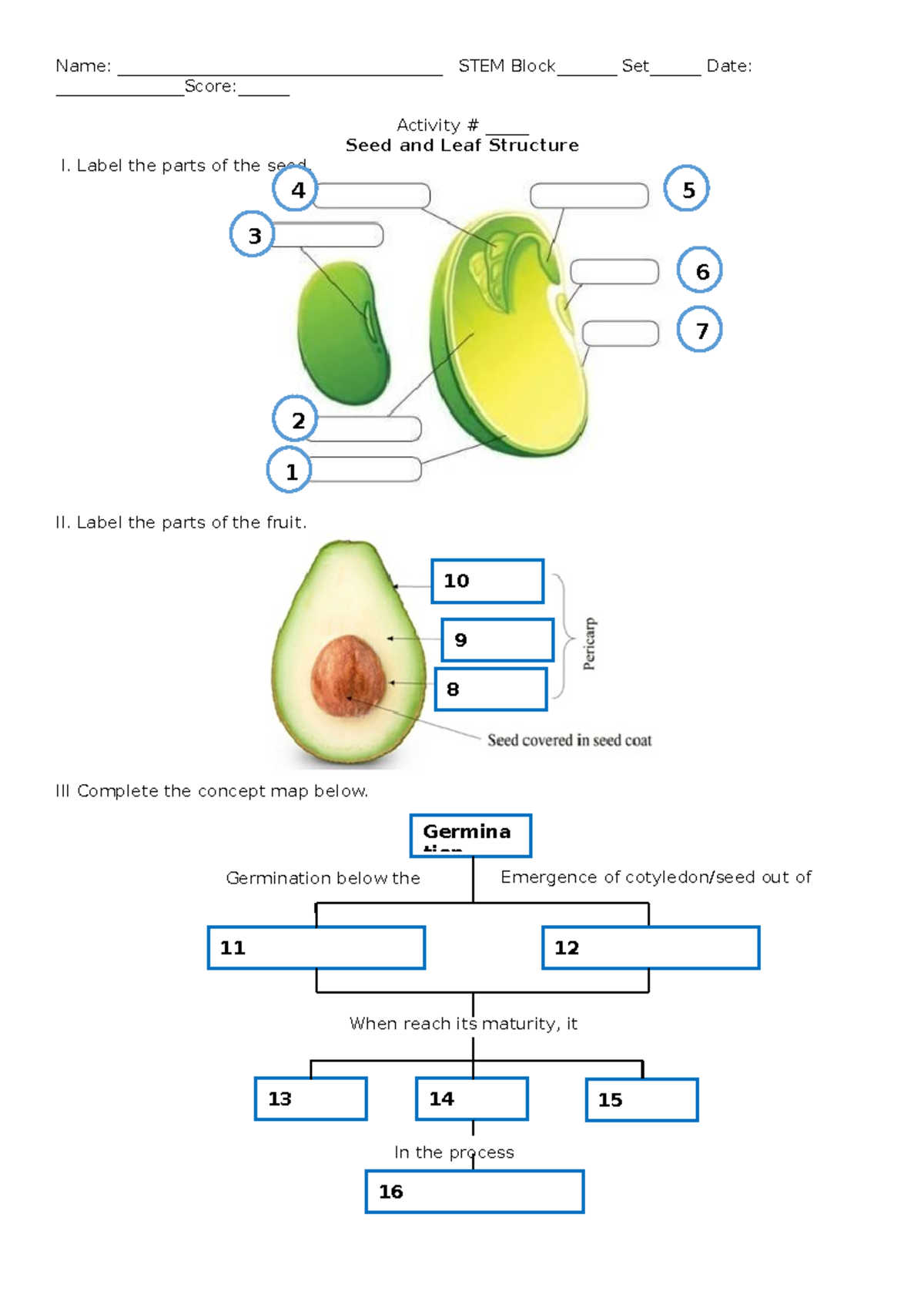 Seed - Exam - Name: ______________________________________ STEM Block ...