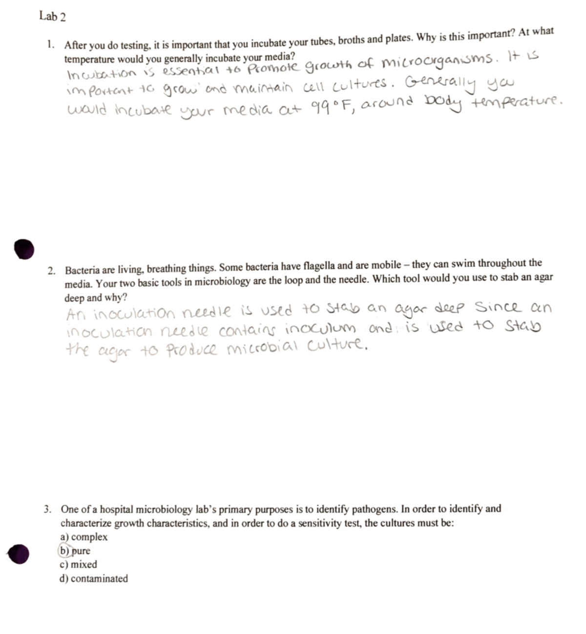 Pre lab 2 - Pre lab 2 assignment which was on the first exam - HSCI ...