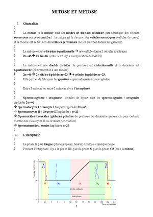 Ch2 Le noyau interphasique - LE NOYAU INTERPHASIQUE I. GENERALITES ...
