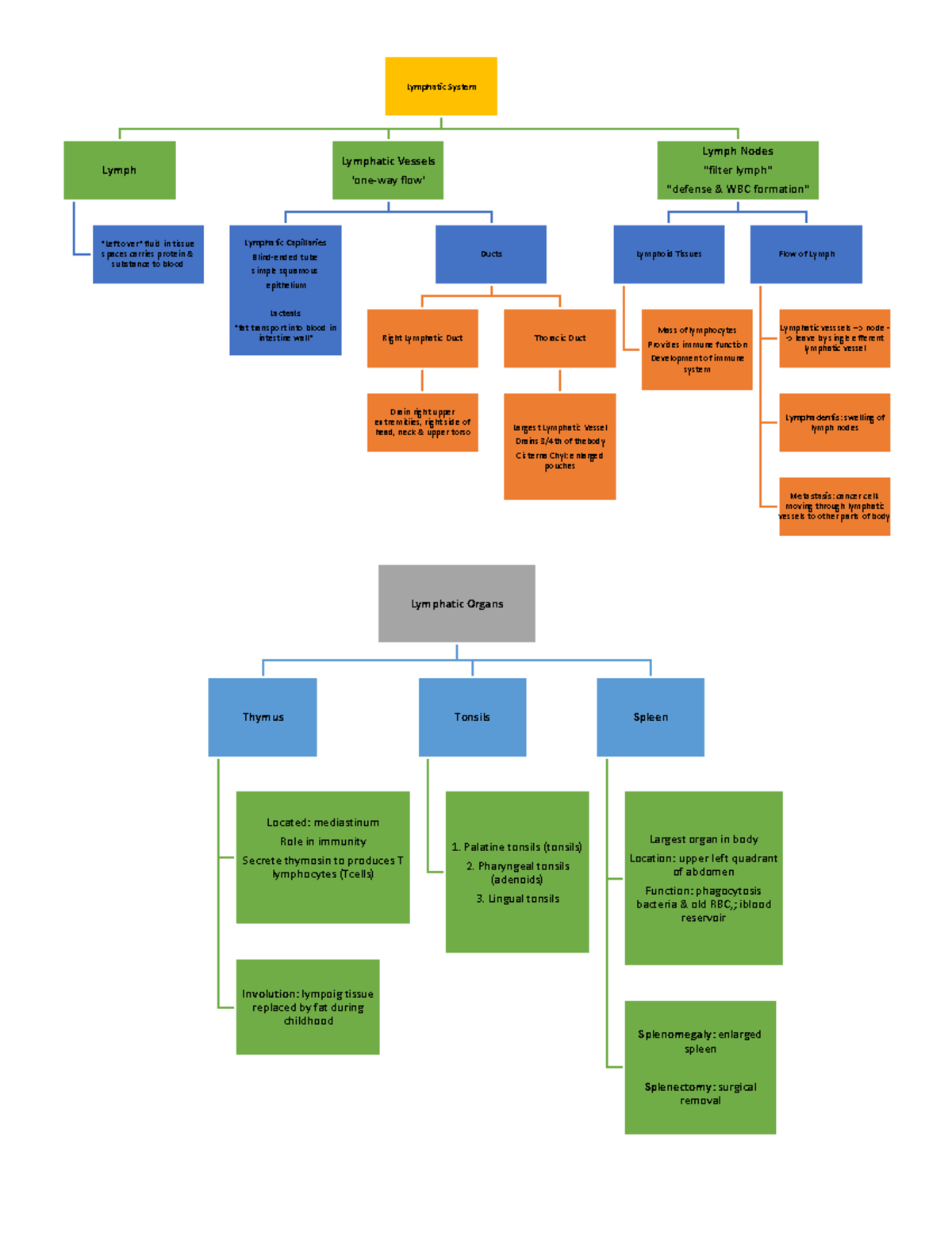 SCIE17028: Lymphatic Chart - Lymphatic System Lymph "Left over" fluid ...