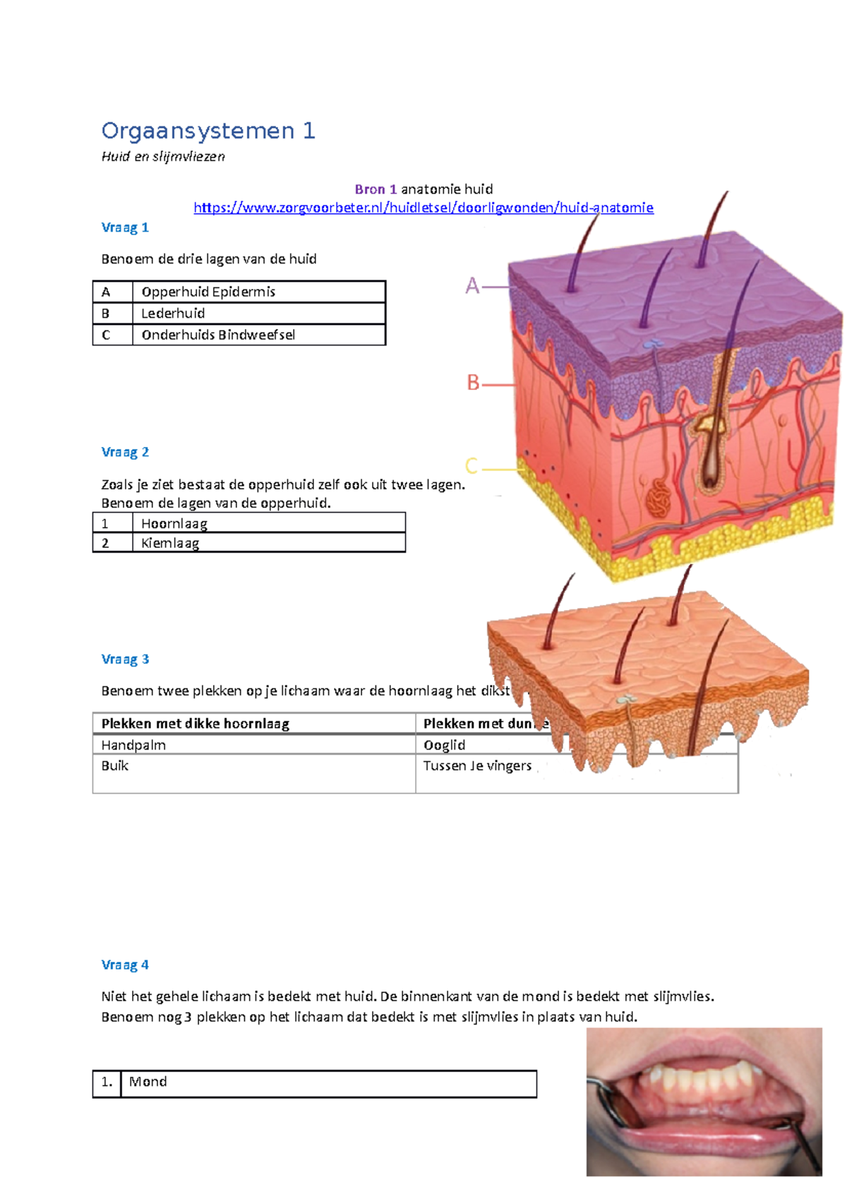 Digi-pakket huid - Kopie - Orgaansystemen 1 Huid en slijmvliezen Bron 1 ...