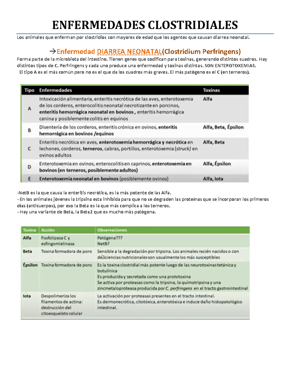 Enfermedades Clostridialeslisto - ENFERMEDADES CLOSTRIDIALES Los ...