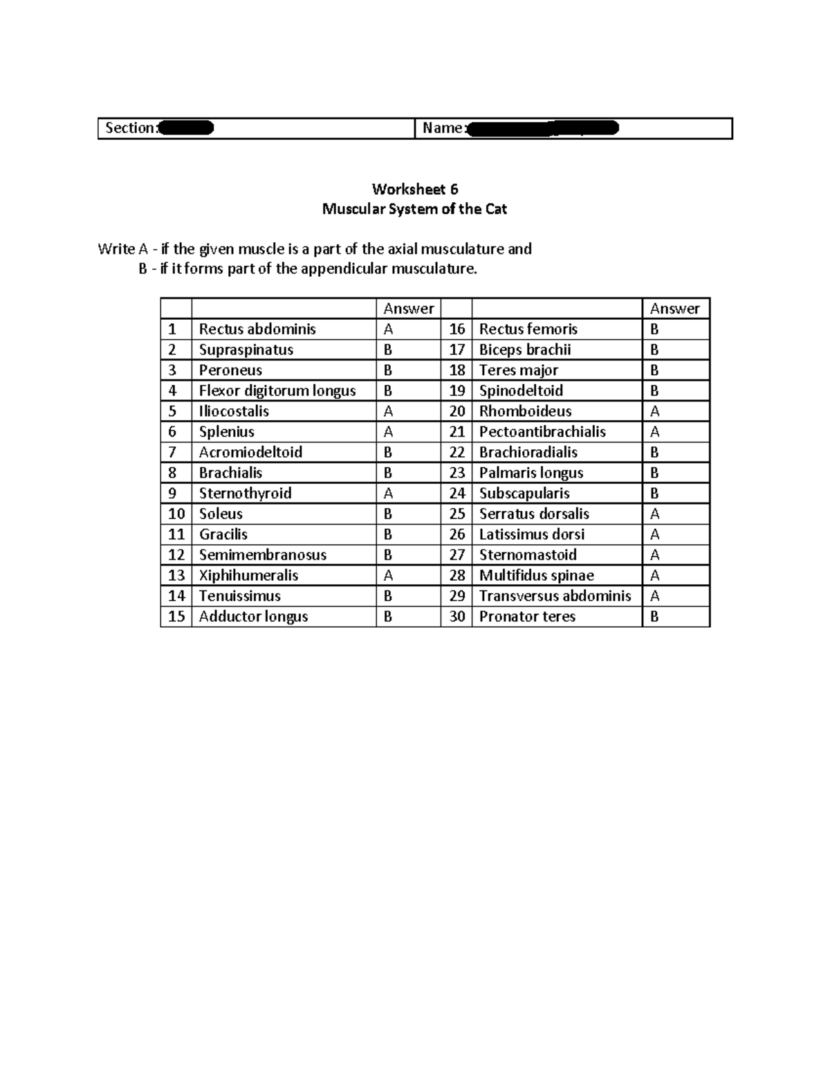 Muscular system of cat worksheet - Section: MEB22 Name: Co, Mary ...
