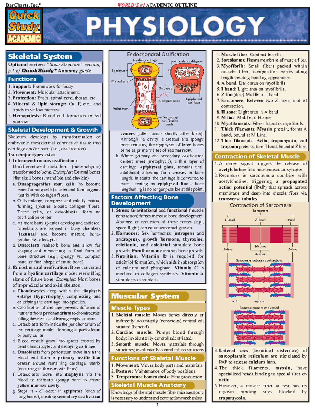 Bar Charts Quick Study Physiology - BarCharts, Inc.® WORLD’S #1 ...