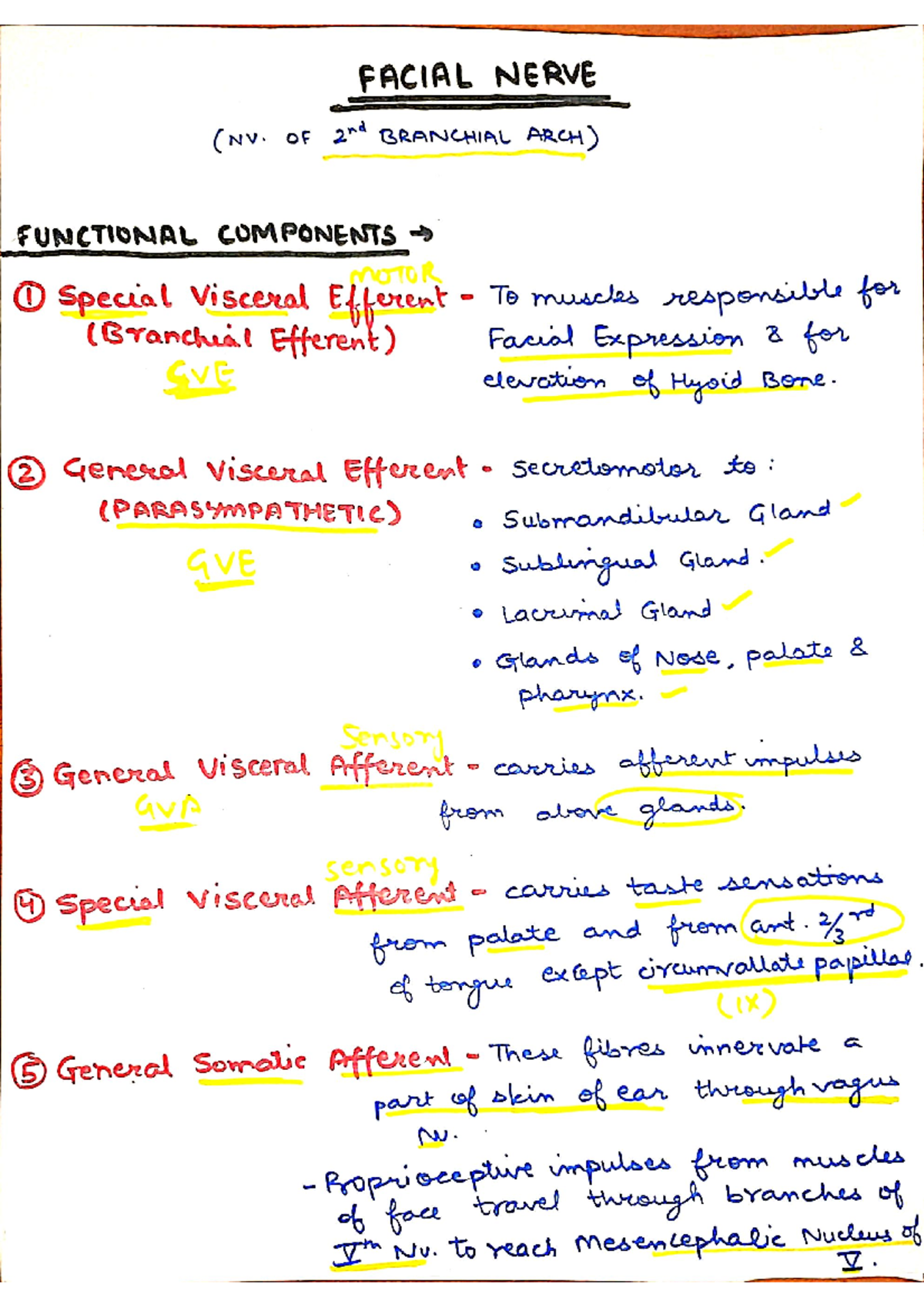 Facial Nerve Notes - Medical anatomy - Studocu