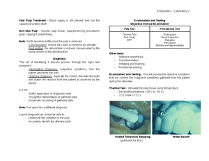 ENDO - 2 Pulpal and Periapical Diagnosis - ENDO Pulpal & Periapical ...