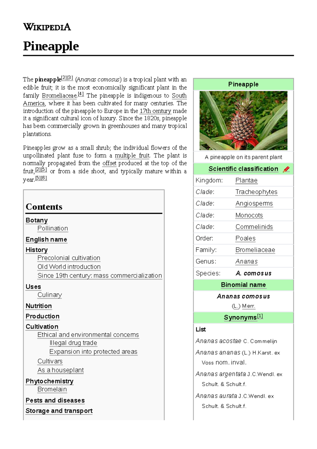 Pineapple - This information helps the student to know more facts about ...