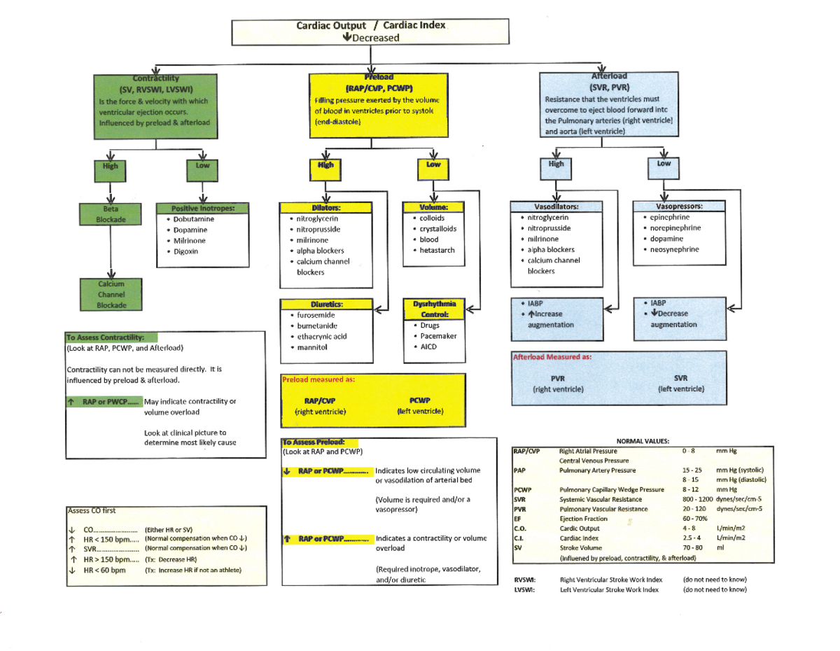 W4 Supplement - Hemodynamic Concept Map, N22 - N22 - Studocu