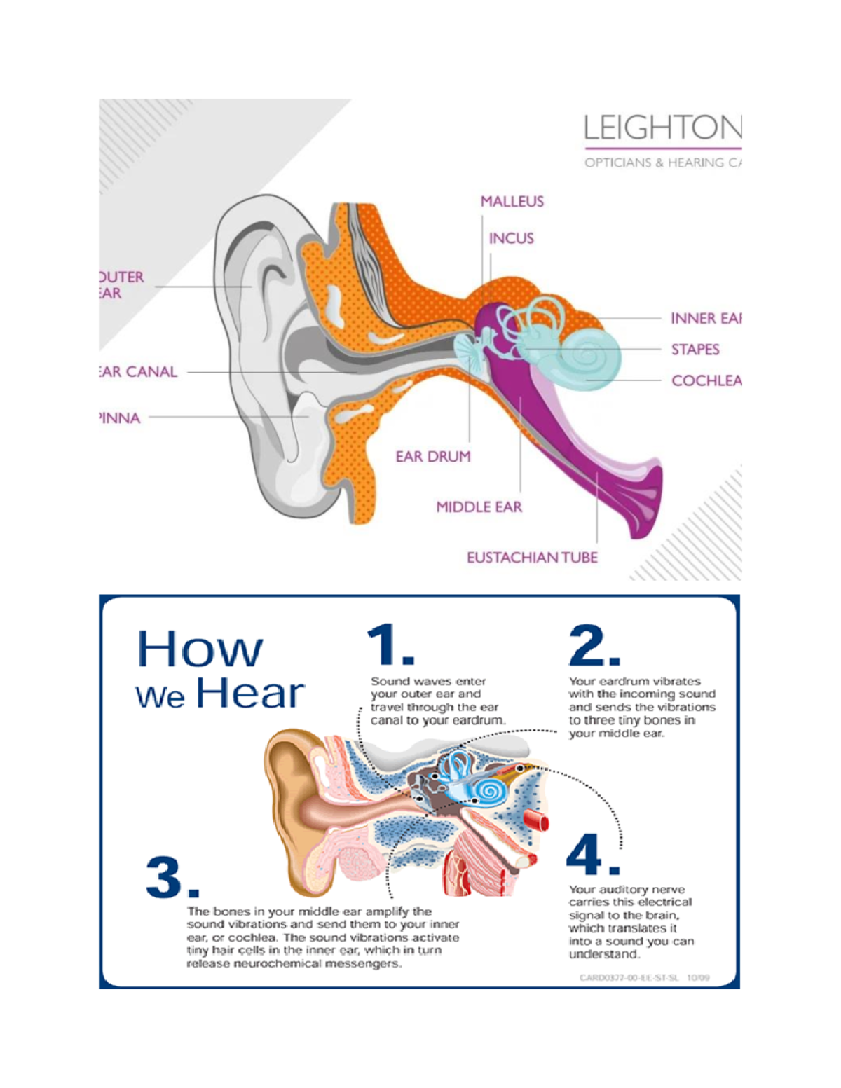 Sound ECHO merged-1 - SOUND & ECHO AUDIBILITY Audibility> audible: The ...