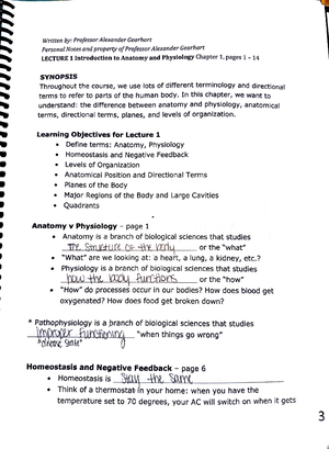 Lecture 10 flashcard examples - Lecture 10 flashcard examples: Heart ...