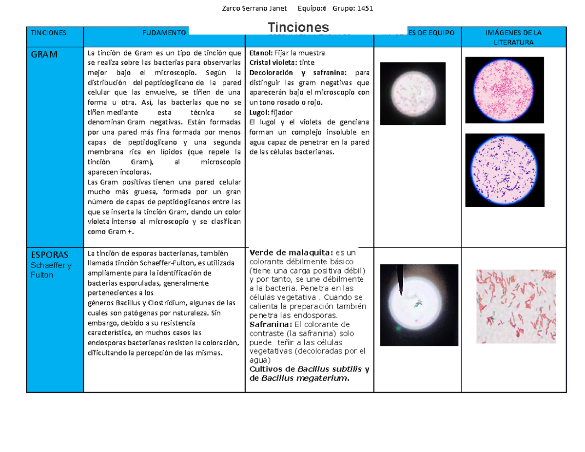 Cuadro Tinciones - TINCIONES FUDAMENTO COLORATES Y REACTIVOS IMÁGENES ...
