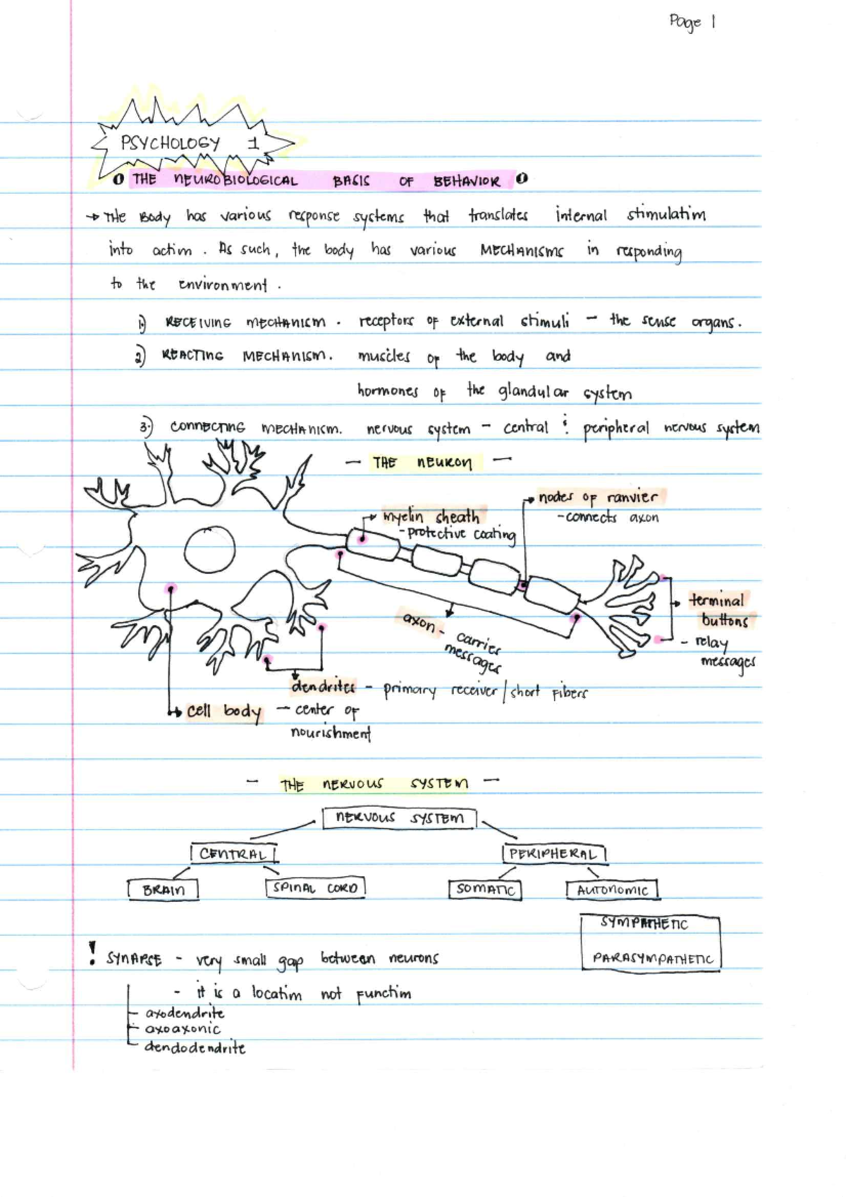 Psych 1- The Neurobiological basis of Behavior - Accountancy - Studocu