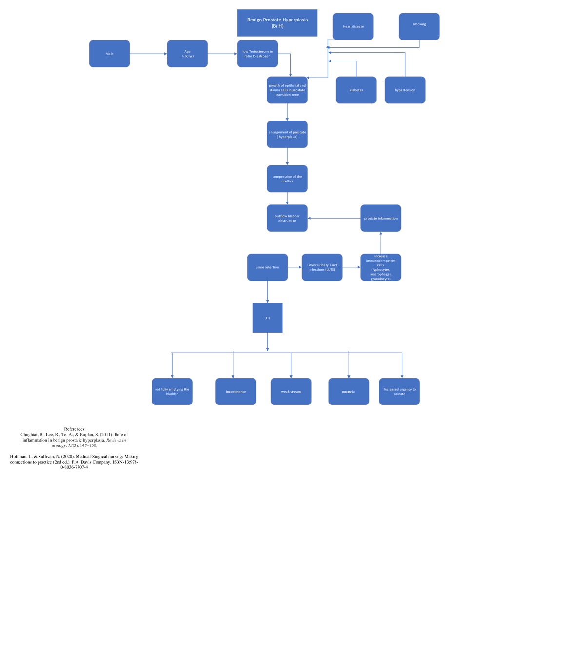 Benign Prostate Hyperplasia patho tree - Benign Prostate Hyperplasia ...