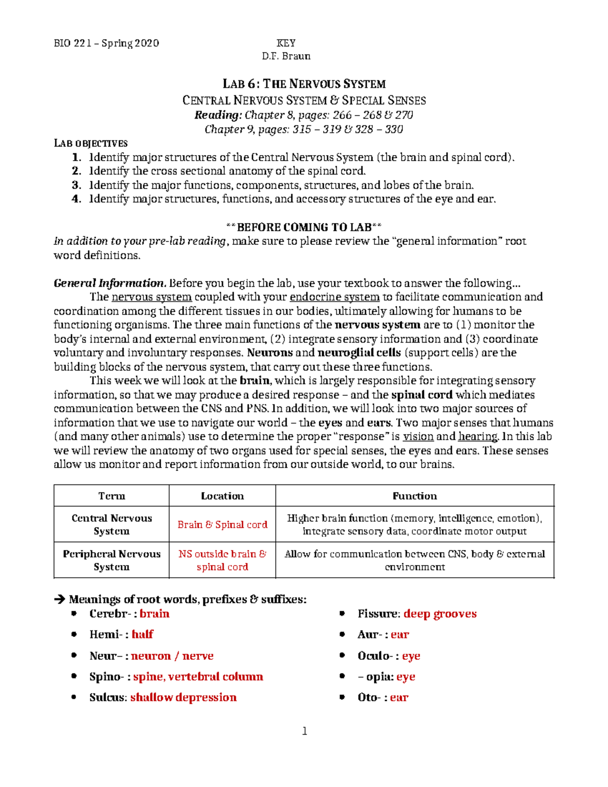 BIO 221 lab 6 - nervous system (Spring 2020)(KEY) - Tagged - D. Braun LAB 6: THE NERVOUS SYSTEM ...
