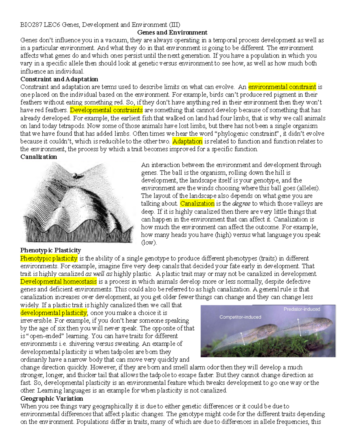 BIO287 LEC6 Outline - Lecture notes 6 - BIO287 LEC6 Genes, Development ...