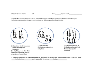 Enzymes Lab Report - Graphs - Yishgirma Amede Enzyme Lab Report: Graphs ...
