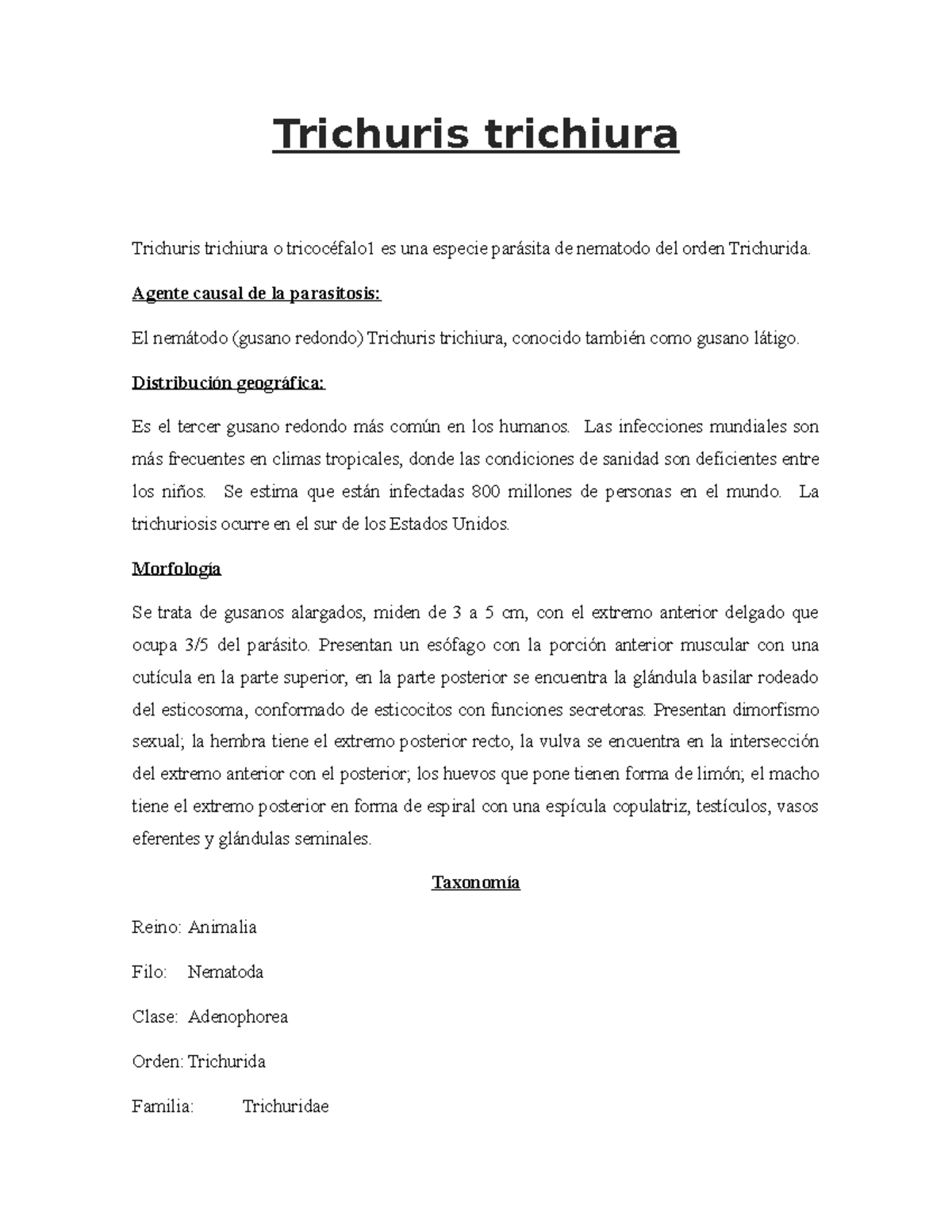 Trichuris trichiura (Autoguardado) - Trichuris trichiura Trichuris ...