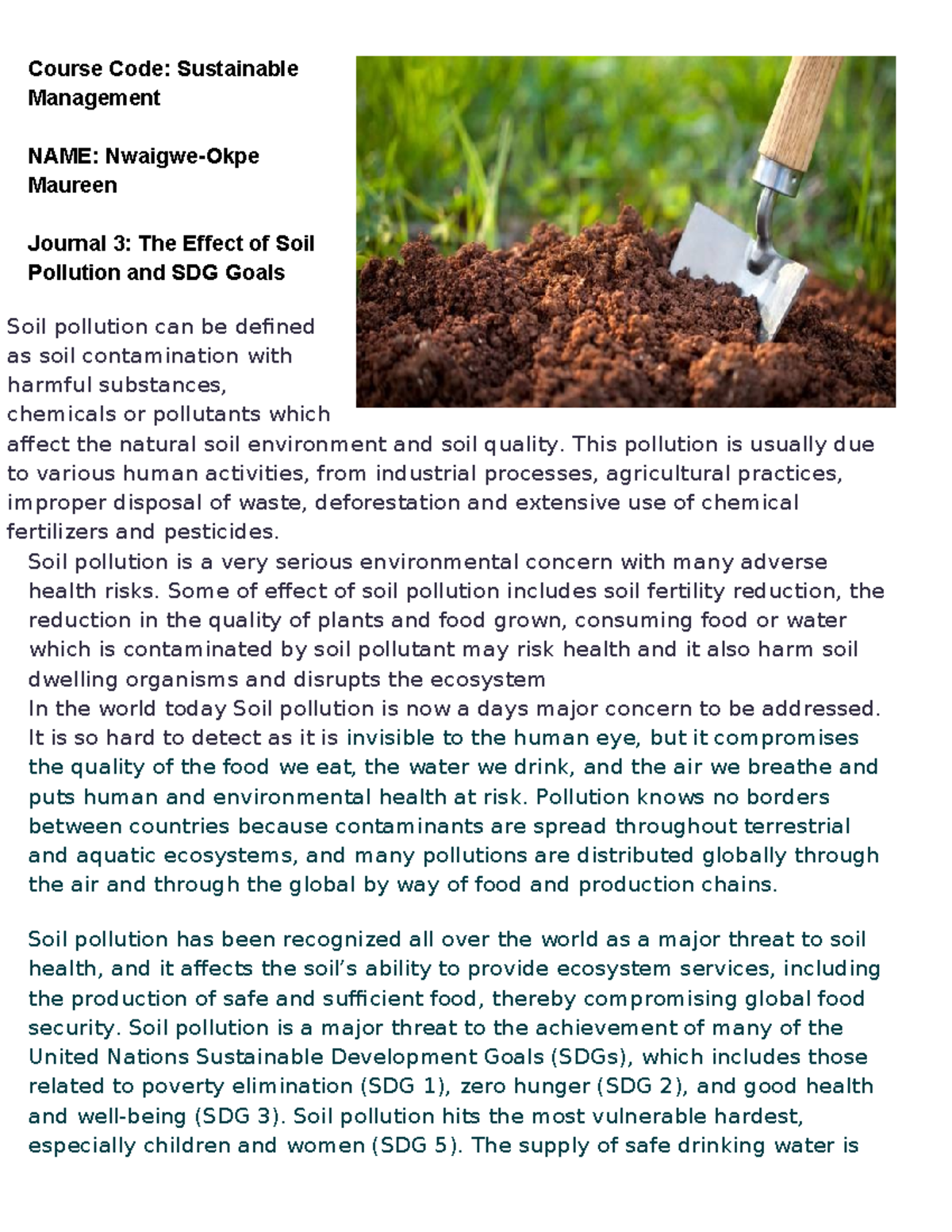 Soil pollution (2) - essay writing - Course Code: Sustainable ...