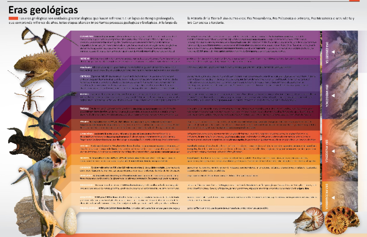 Eras Geologicas - Cs de la tierra - Ciencias de la Tierra - Studocu