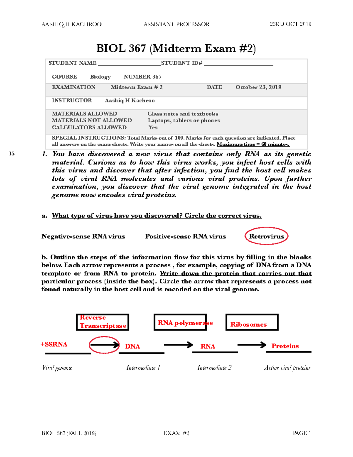 Exam #2 with answers - BIOL 367 (Midterm Exam #2) 1. You have ...