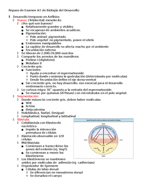 La arquitectura del movimiento moderno en Puerto Rico: la obra de Toro ...