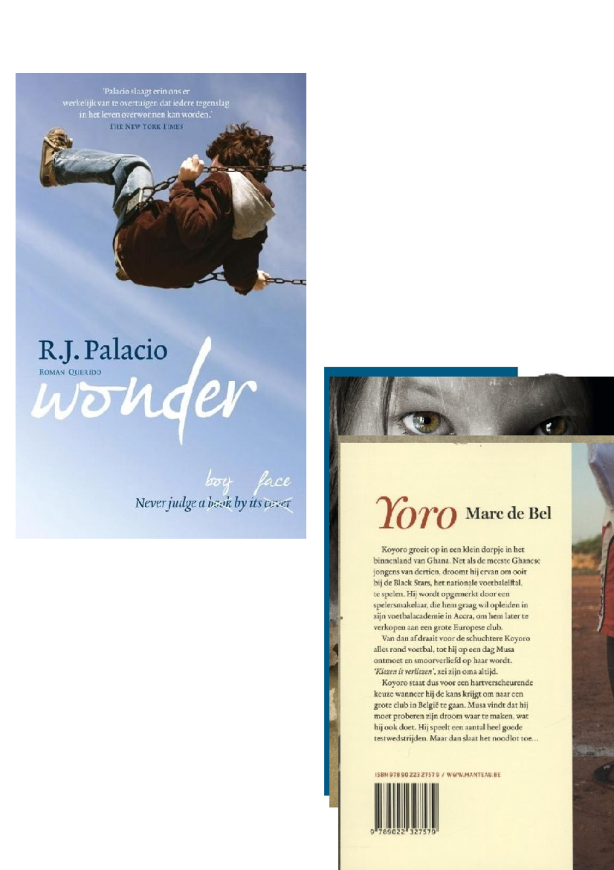 Boekpromotie - /ueueje - Nederlands 2 - Studocu