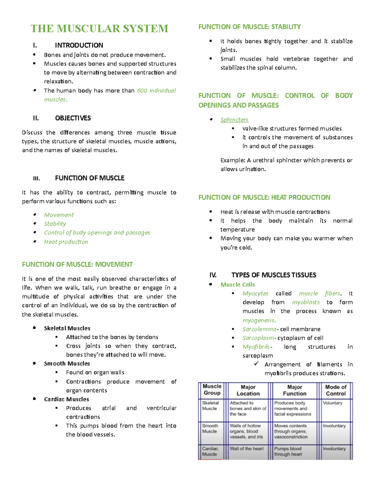 THE Muscular System - Study well - THE MUSCULAR SYSTEM I. INTRODUCTION ...