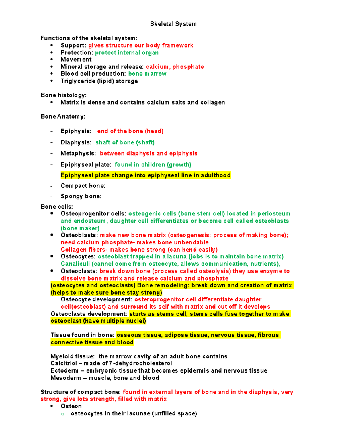 Skeletal System - Unit1: skeleton section - Skeletal System Functions ...