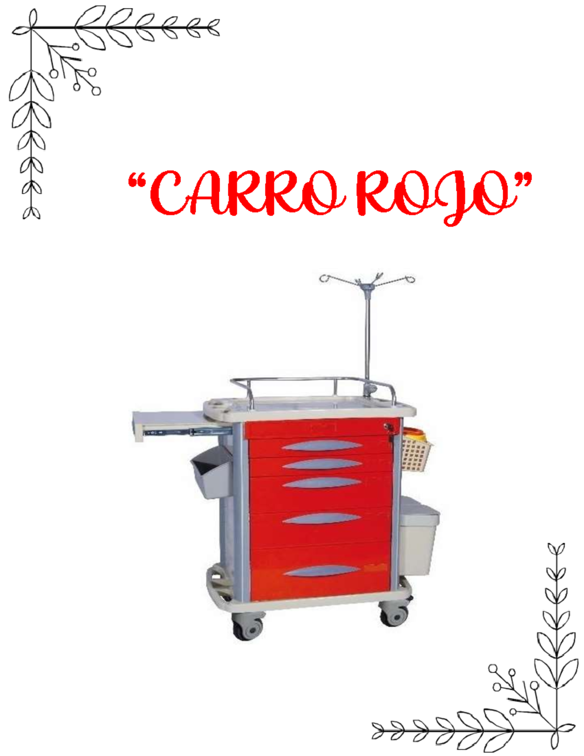 Carro ROJO - generalidades - “CARRO ROJO” “LICENCIATURA EN ENFERMERIA Y ...