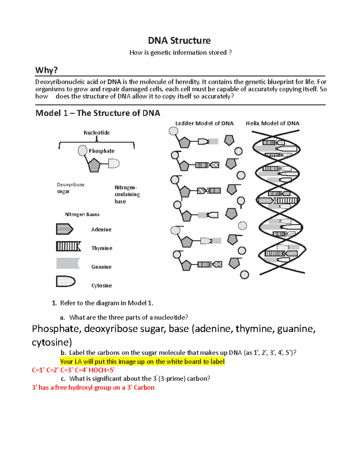 W12 DNA Structure Fall 23. 2 - Why? DNA Structure How is genetic ...
