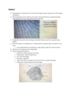 Forensic Science Laboratory - 11/16/ Fabric and Fibers New Jersey City ...