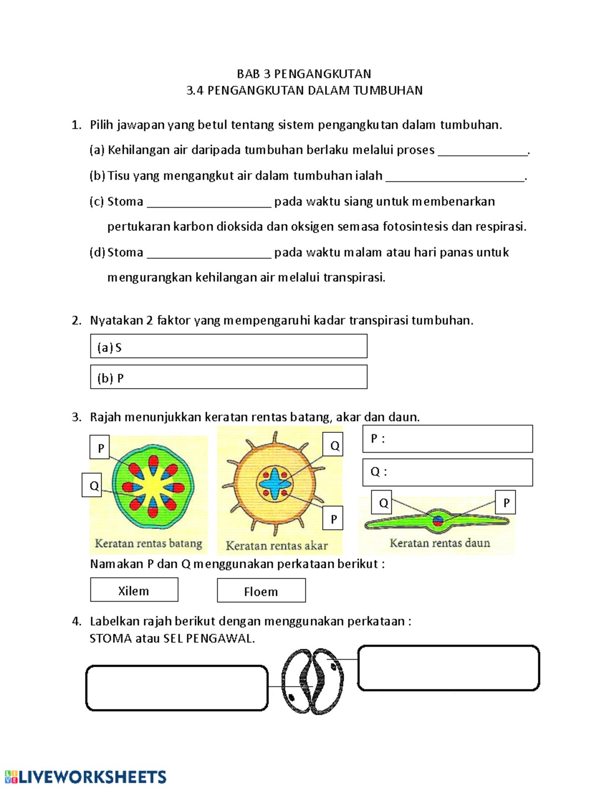 SC F1 Transpiration - transpirtion latihan form 1 - BAB 3 PENGANGKUTAN ...