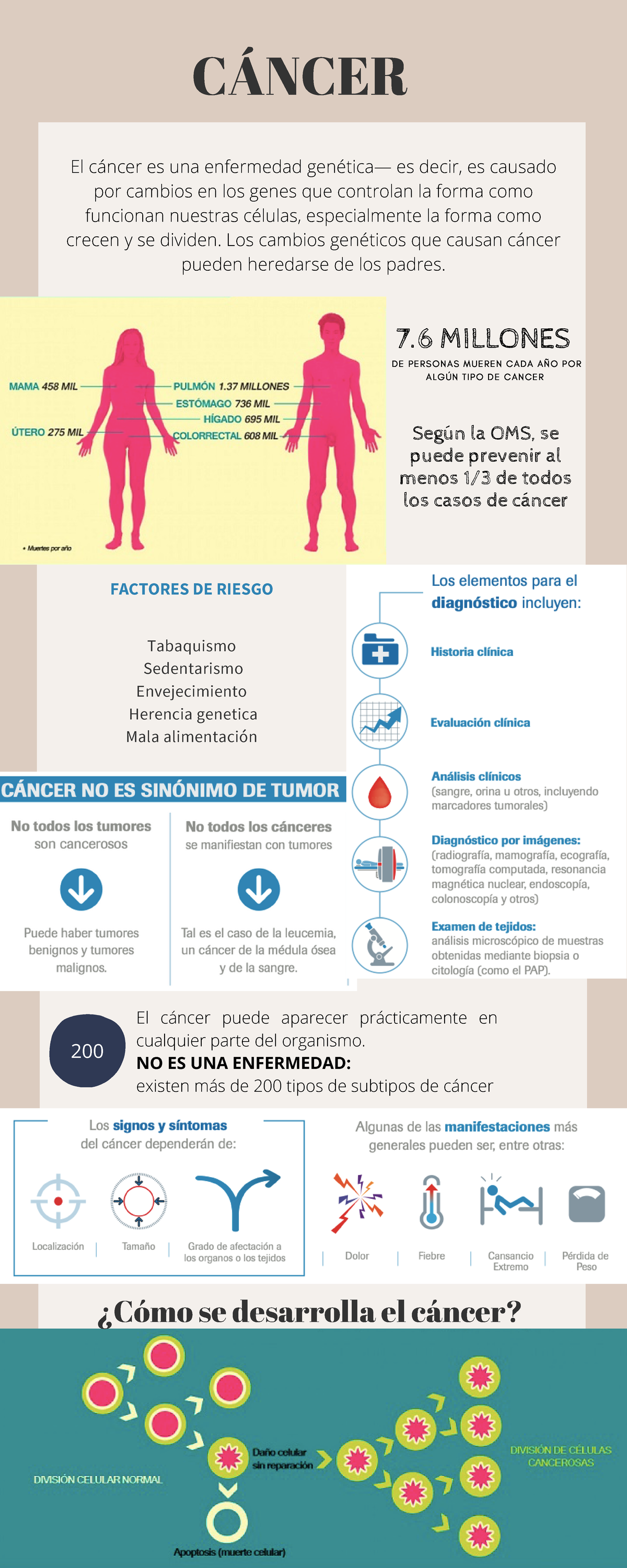 Cáncer - cancer - FACTORES DE RIESGO Tabaquismo Sedentarismo ...