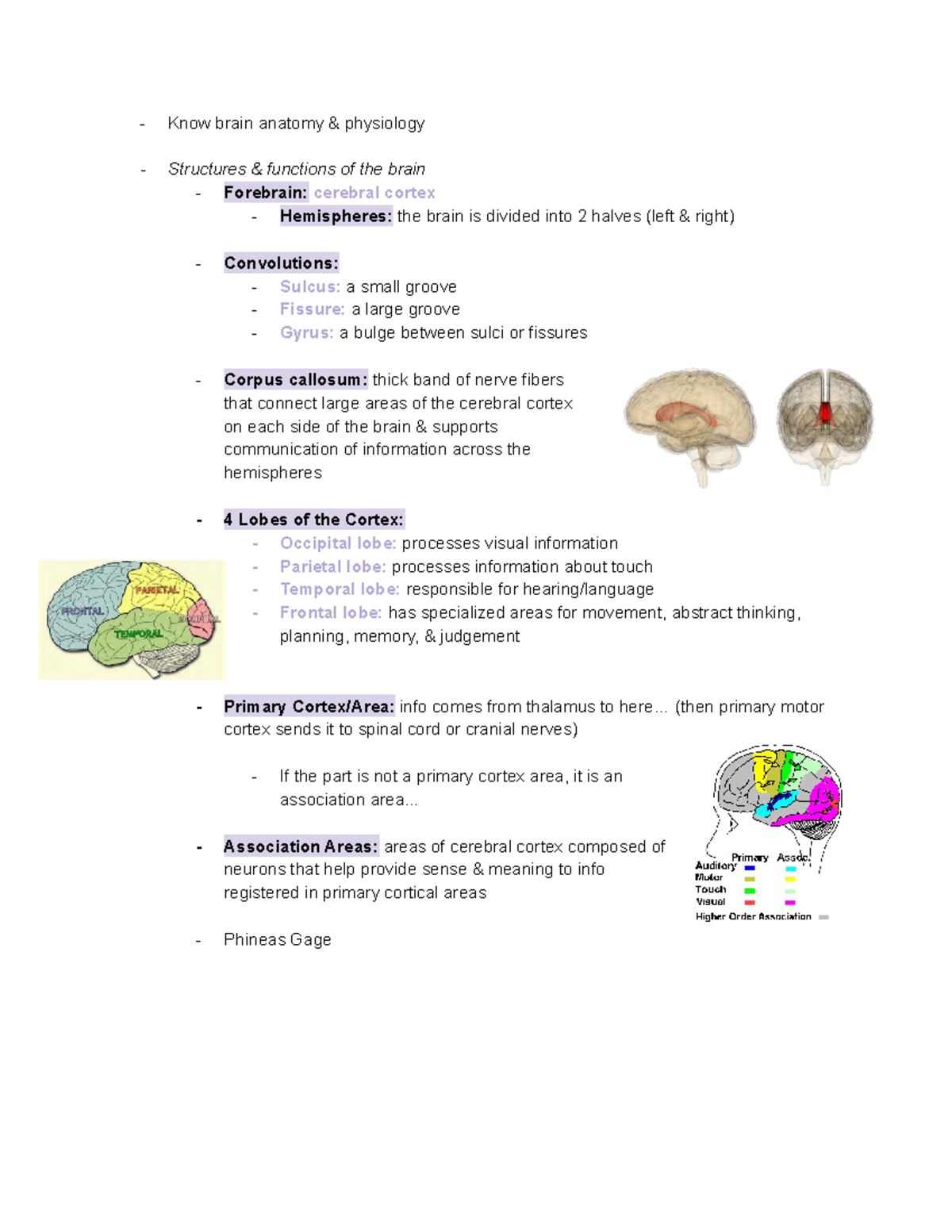 PSY chpt. 3 continued 2 17 20 - Know brain anatomy & physiology - Structures & functions of ...