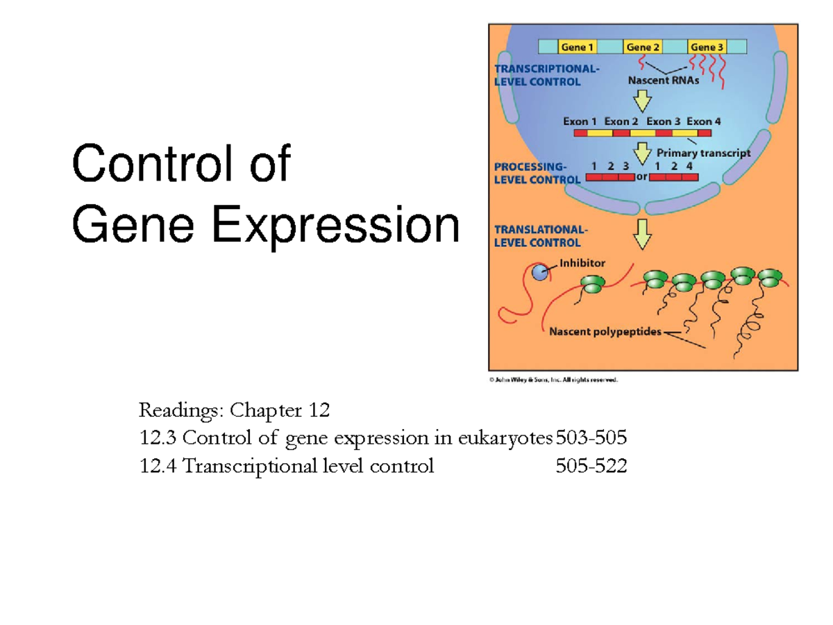 Lecture notes, lectures 8 - control of gene expression - Control of ...