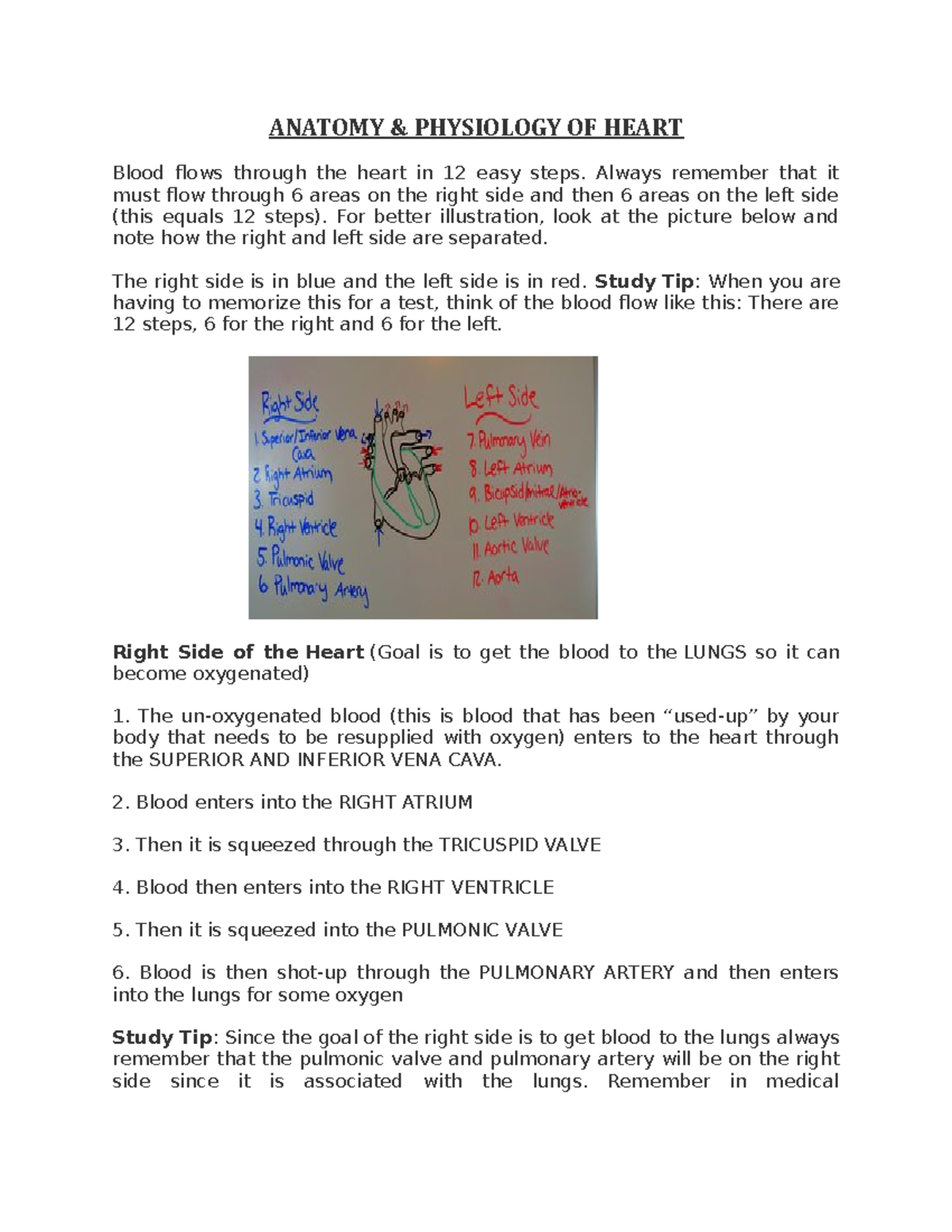 Cardiovascular Disorders Nclex - ANATOMY & PHYSIOLOGY OF HEART Blood ...