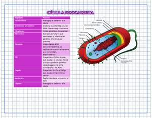 Agentes Crioprotectores - Existen muchos compuestos que se pueden ...