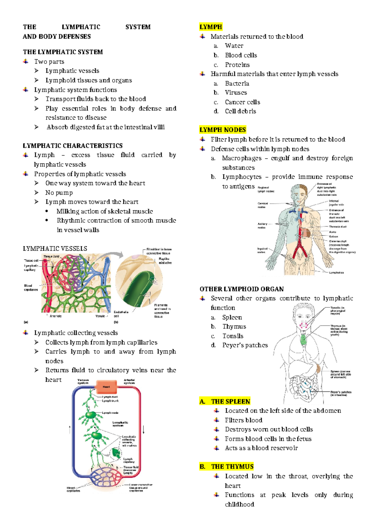 THE Lymphatic System - THE LYMPHATIC SYSTEM AND BODY DEFENSES THE ...