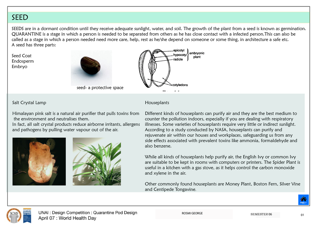 POD Design-SEED - POD DESIGN-SEED - ROSMI GEORGE SEMESTER 060601 Salt ...