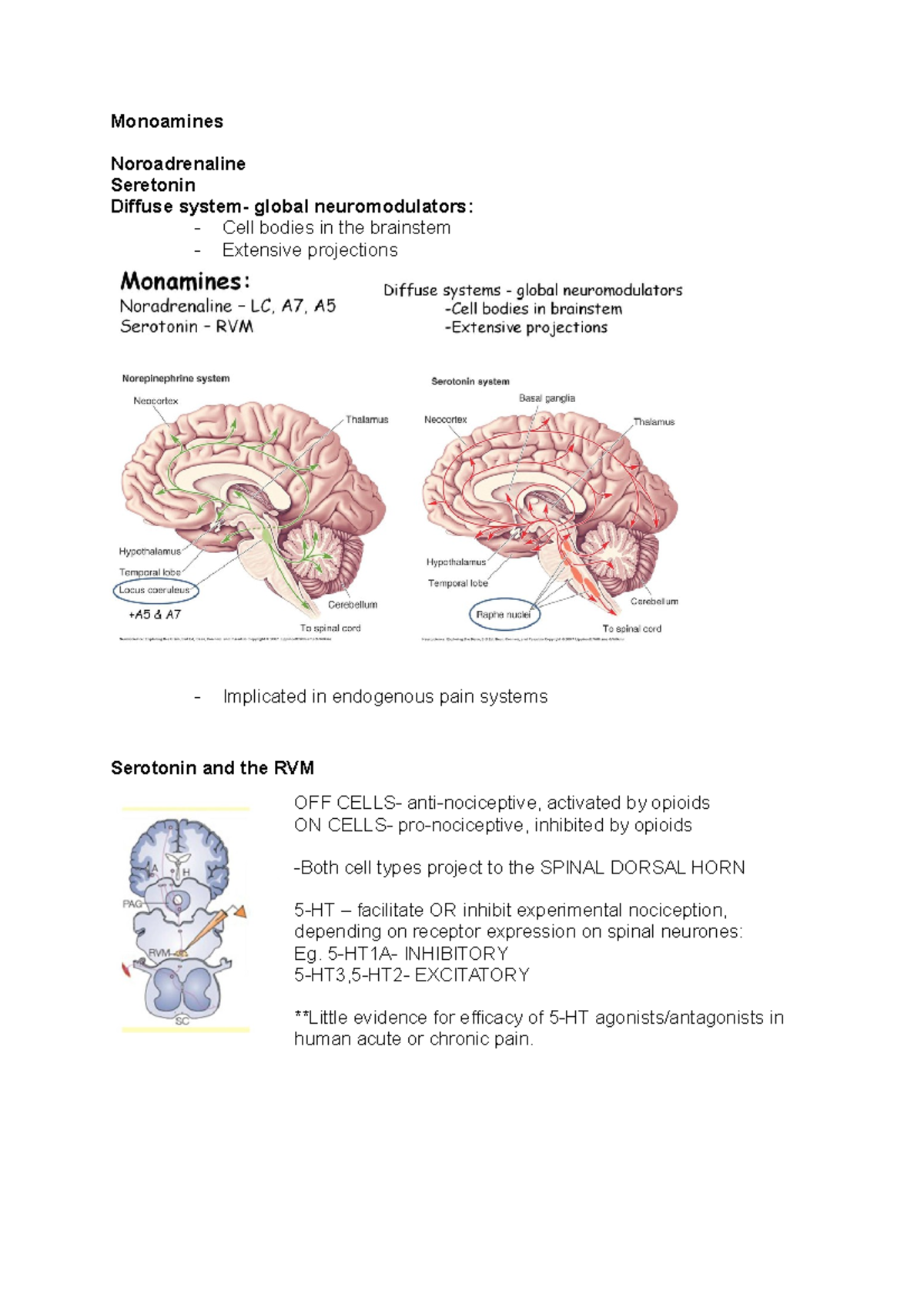 Monoamines - Lecture notes Anatomy Notes - Monoamines Noroadrenaline ...