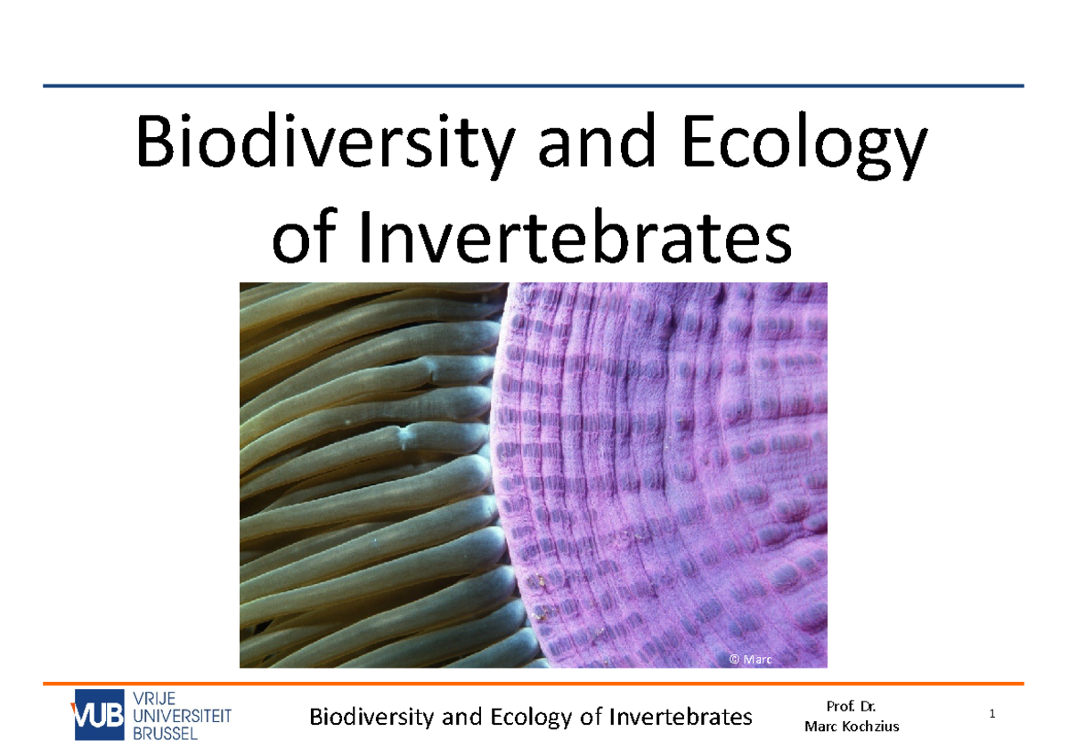Biodiversity and Ecology of Invertebrates 2021-2022 01 Introduction ...