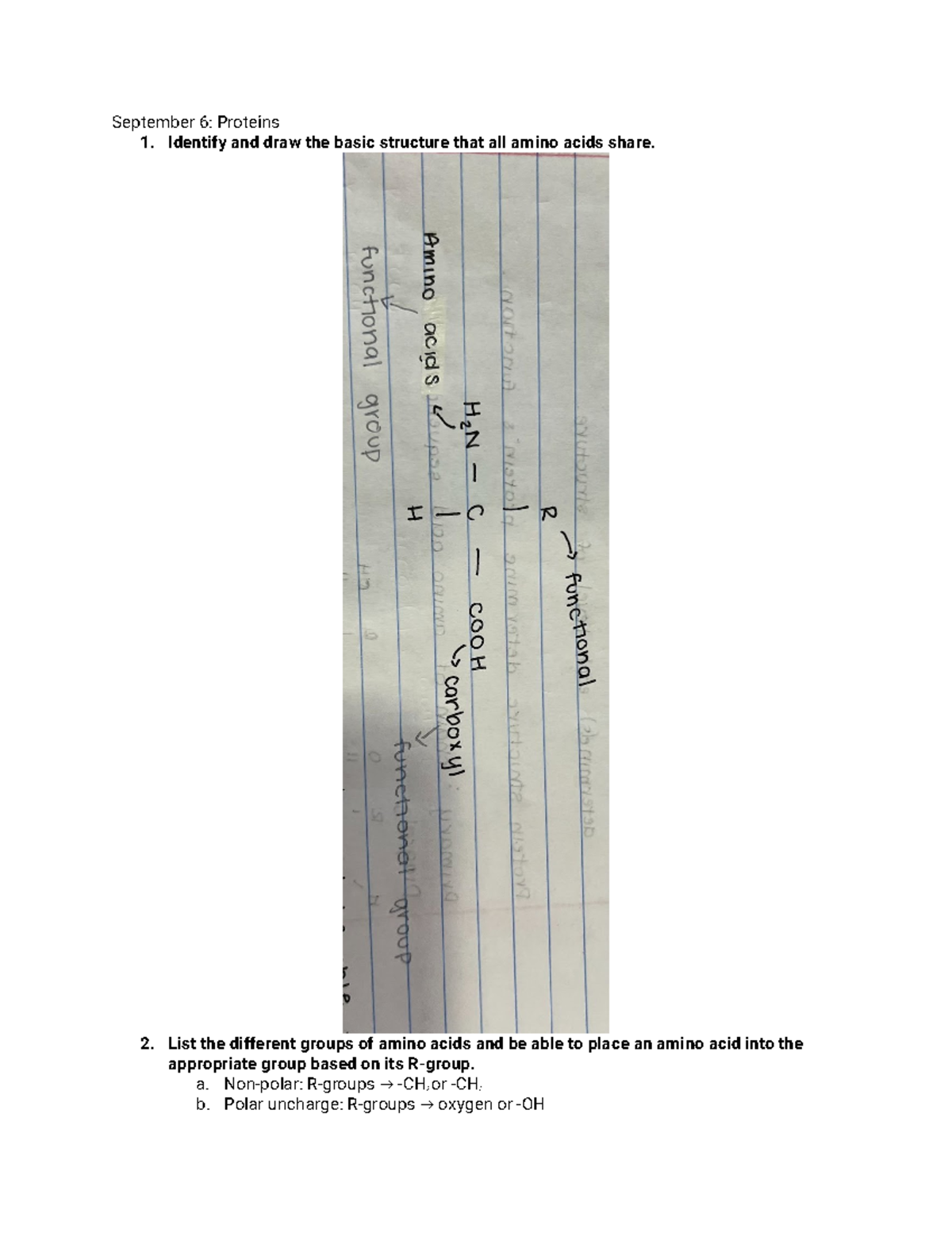 Proteins Learning Outcomes - September 6: Proteins 1. Identify and draw ...