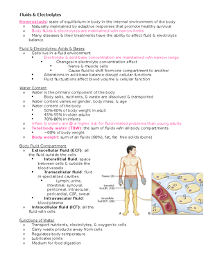 Hypertension ATI system disorder template - ACTIVE LEARNING TEMPLATES ...