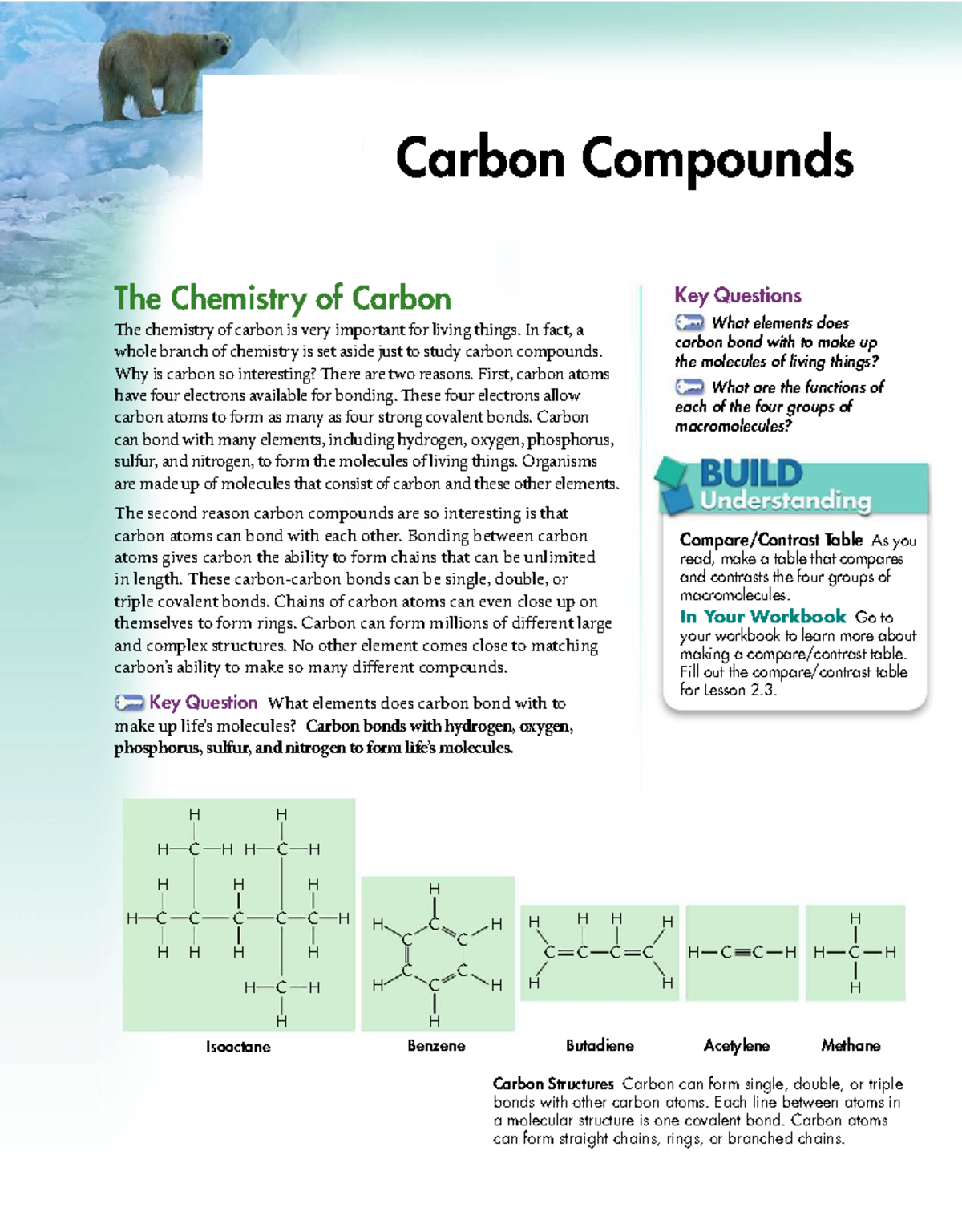 Biology Reading on Macromolecules - ####### H ####### H ####### H C H ...