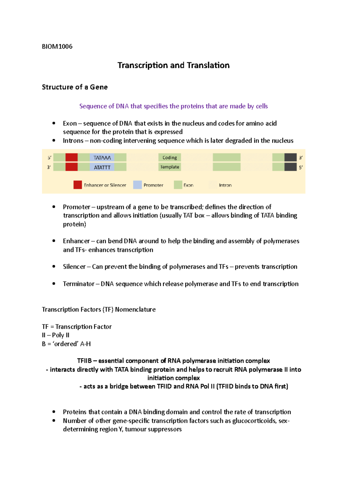 Transcription and translation - BIOM Transcription and Translation ...