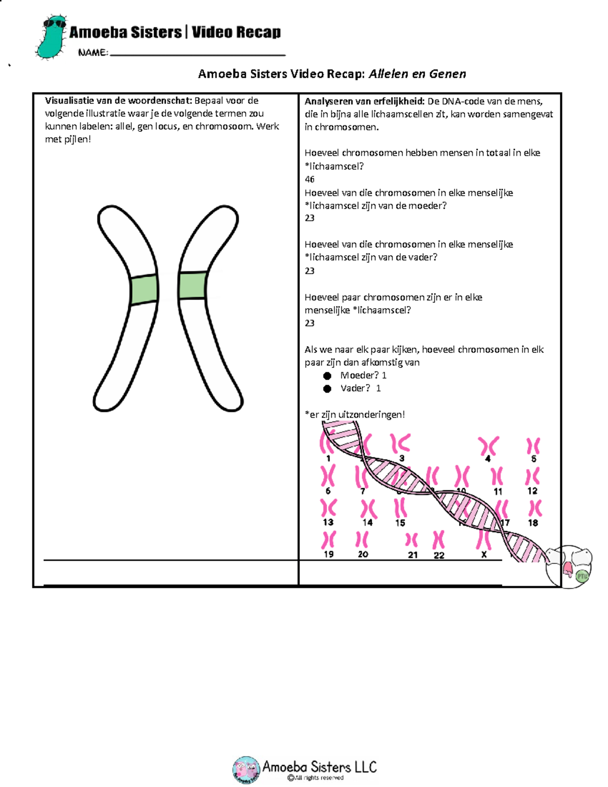 Allelen en genen - Biologie - Studocu