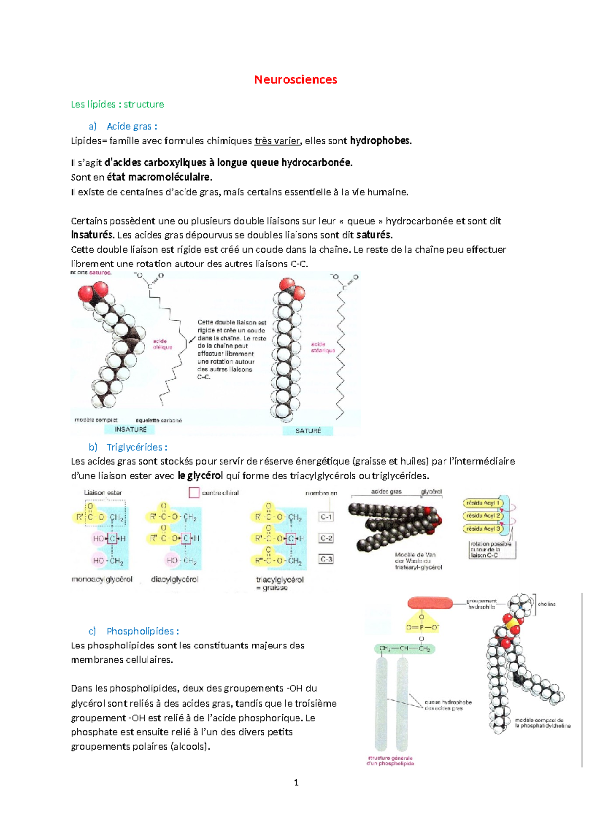 Neurosciences - cours L1 - Neurosciences Les lipides : structure a) Acide gras : Lipides ...